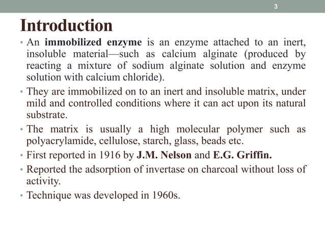 Enzyme.ppt
