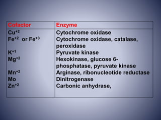 Enzyme.ppt