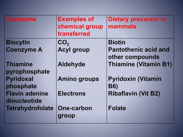 Enzyme.ppt