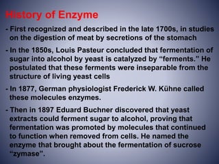 Enzyme.ppt