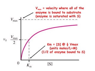 Enzymes class lecture | PPT