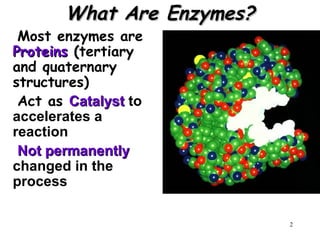 Enzymes class lecture | PPT