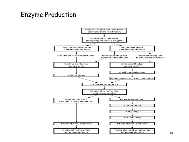 Enzymes class lecture | PPT