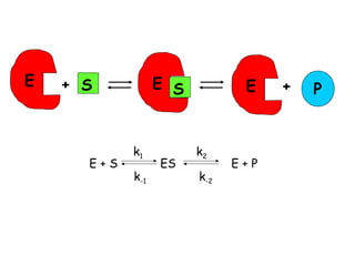 Enzymes class lecture | PPT