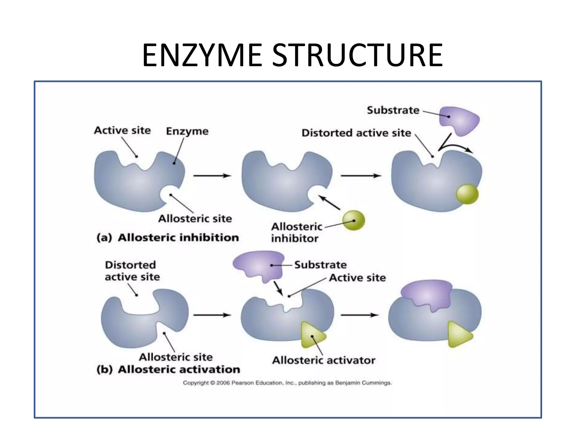 Enzyme CSIR -NET | PPTX