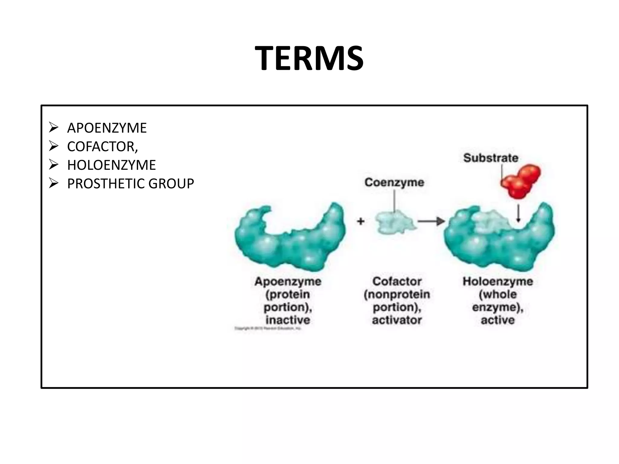 Enzyme CSIR -NET | PPTX