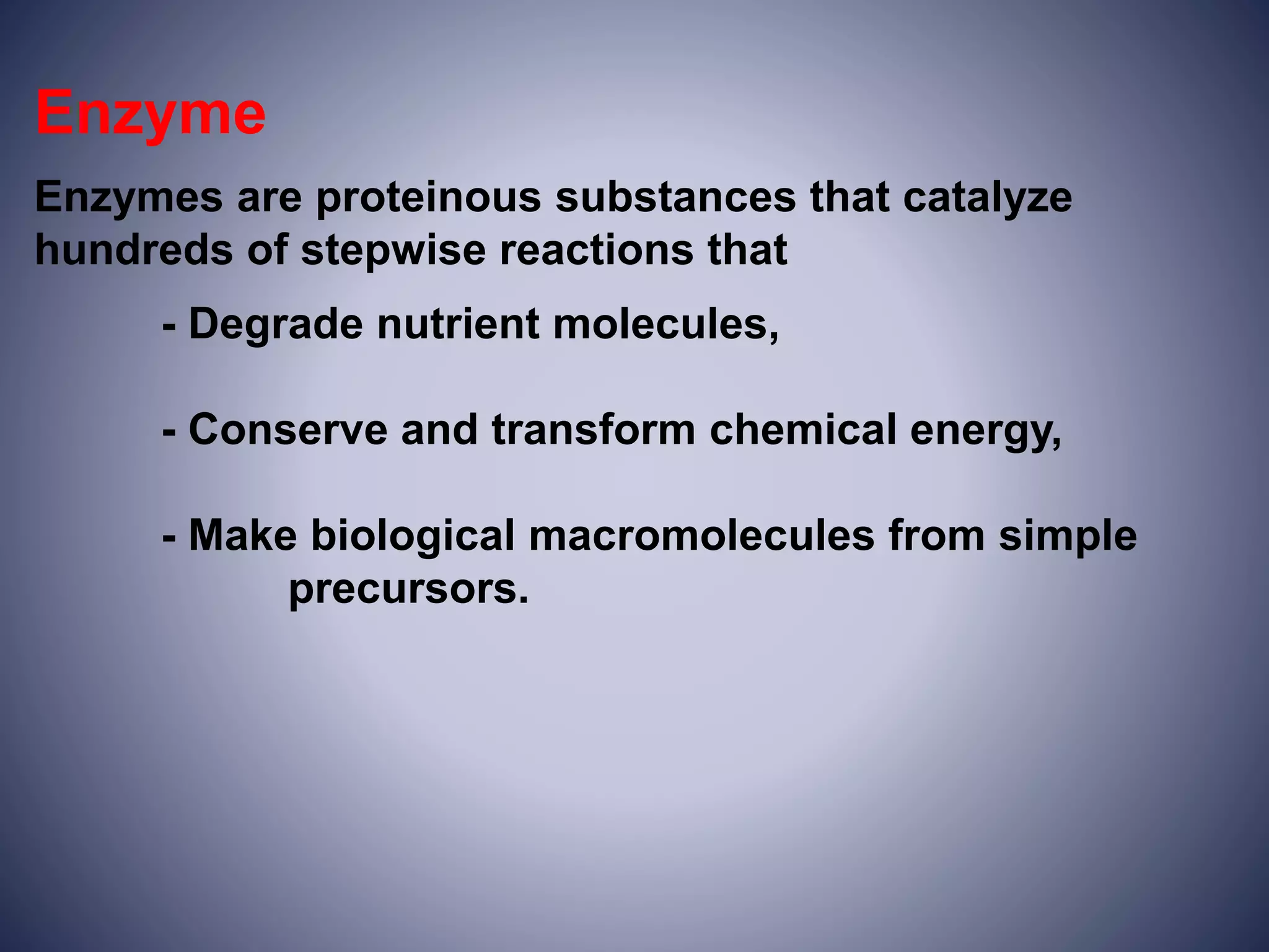 Enzyme.ppt