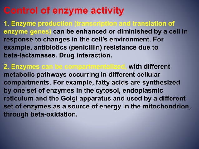 Enzyme.ppt