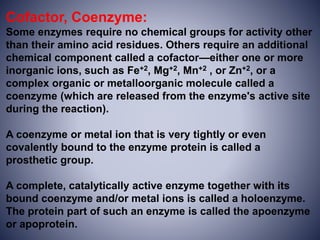 Enzyme.ppt