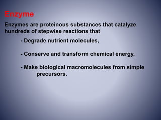 Enzyme.ppt