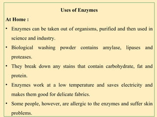 Enzyme | PPT