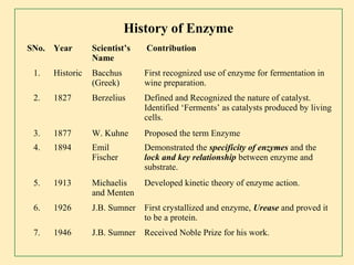 Enzyme | PPT