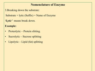 Enzyme | PPT