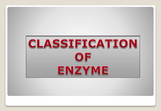 Enzyme | PPT