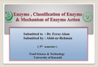 Enzyme | PPT