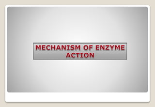 Enzyme | PPT