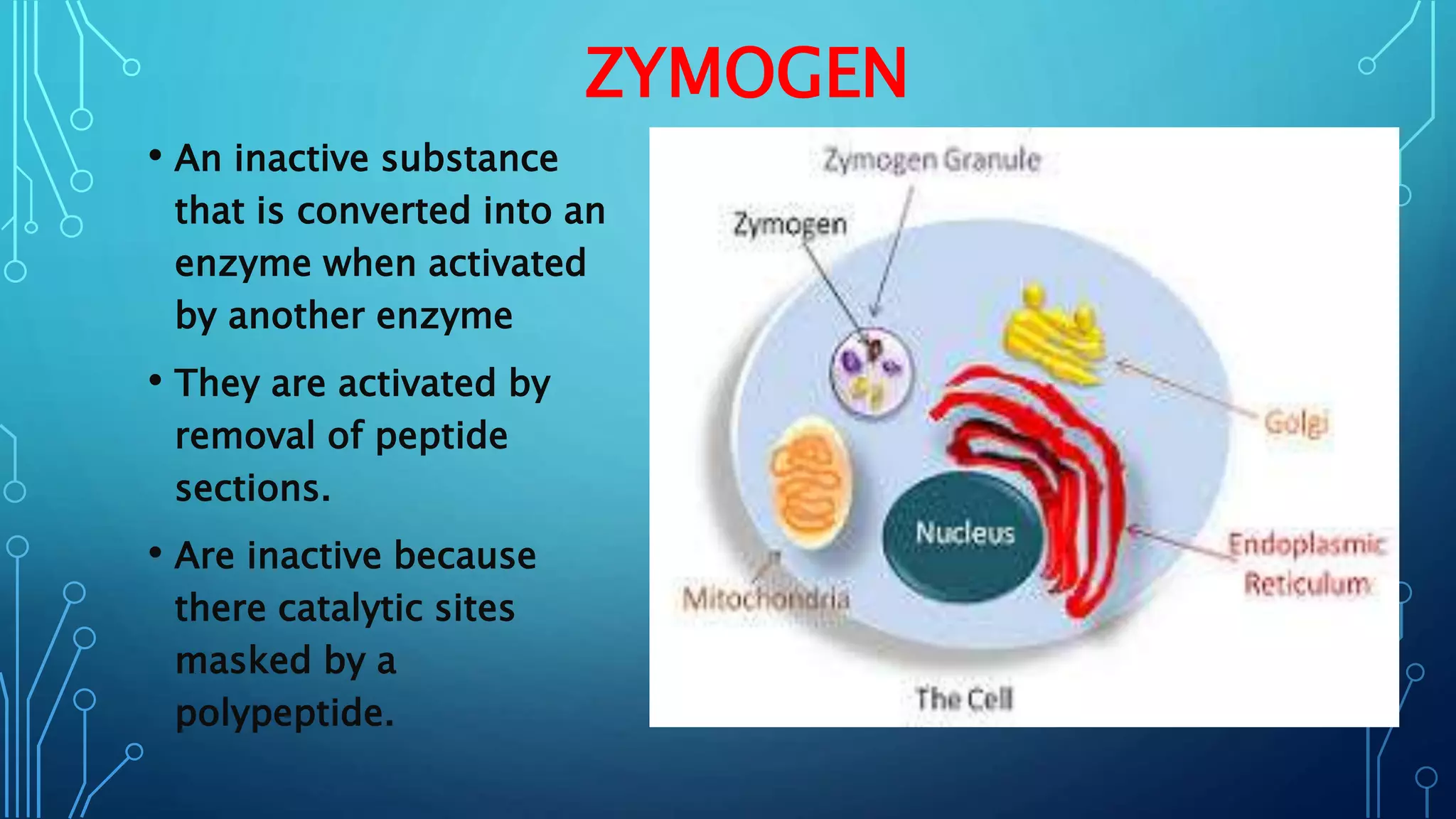 Enzymes of The Kidney | PPTX