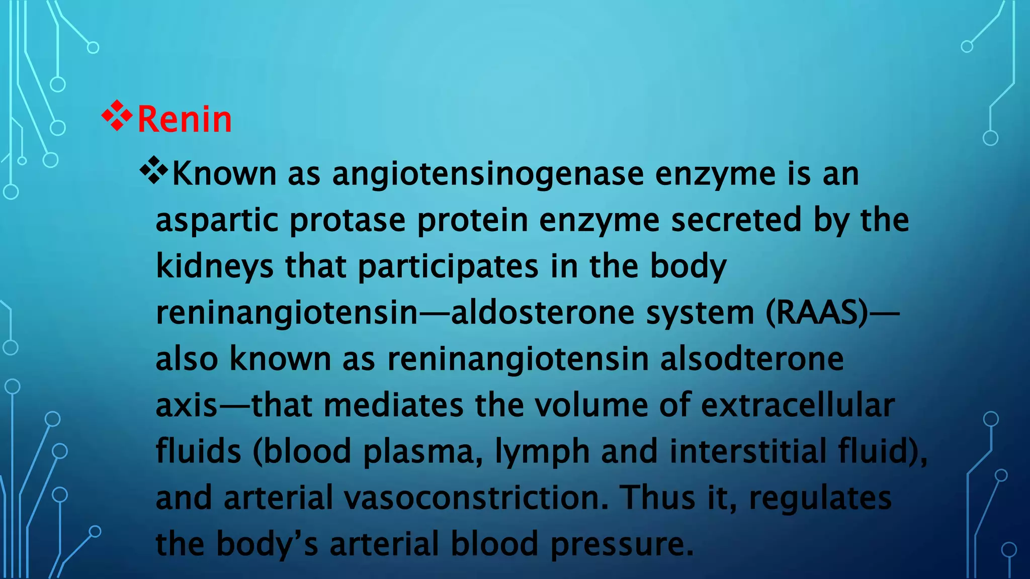 Enzymes of The Kidney | PPTX