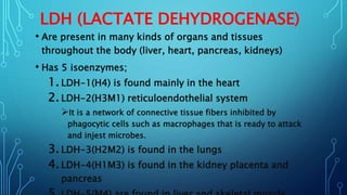 Enzymes of The Kidney | PPTX