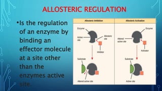 Enzymes of The Kidney | PPTX