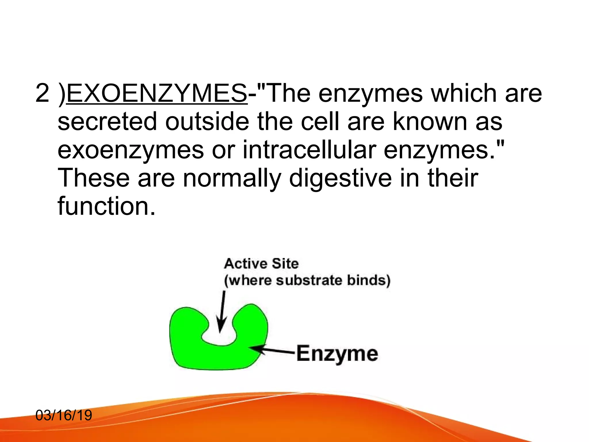 Enzyme-An introduction | PPT