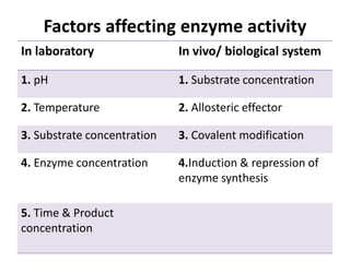 Enzyme | PPTX
