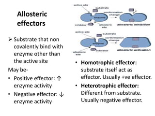 Enzyme | PPT