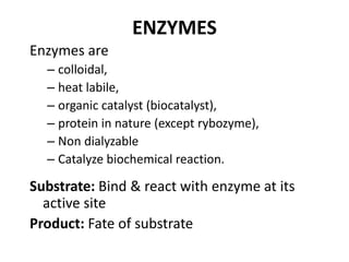 Enzyme | PPT