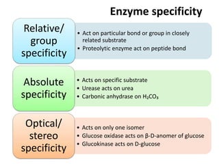 Enzyme | PPT
