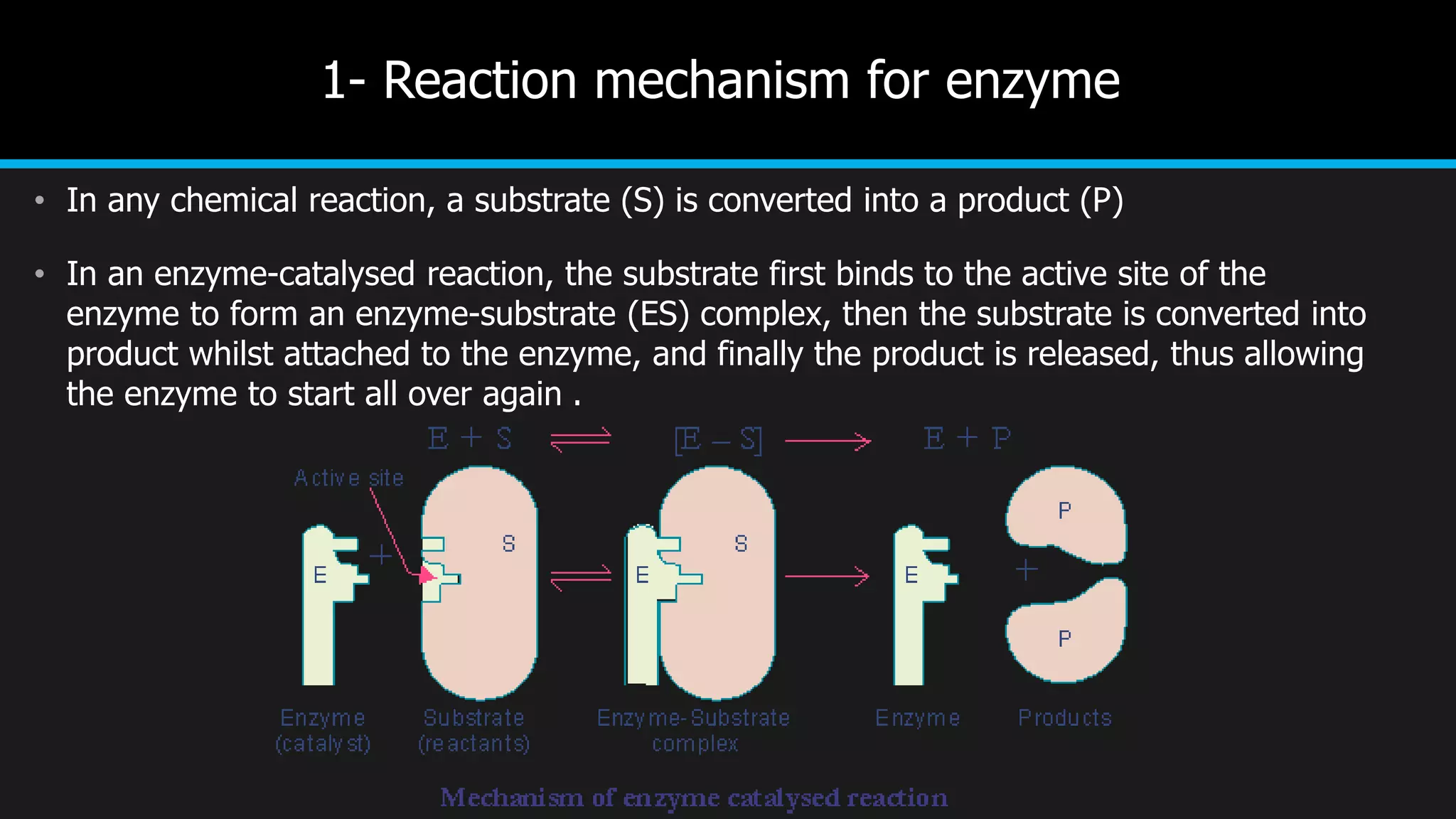 Enzyme | PPTX