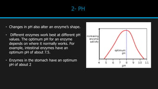 Enzyme | PPTX