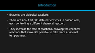 Enzyme | PPTX
