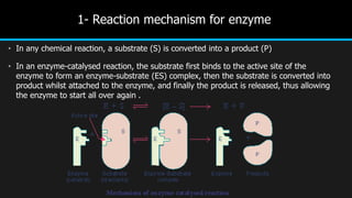 Enzyme | PPTX