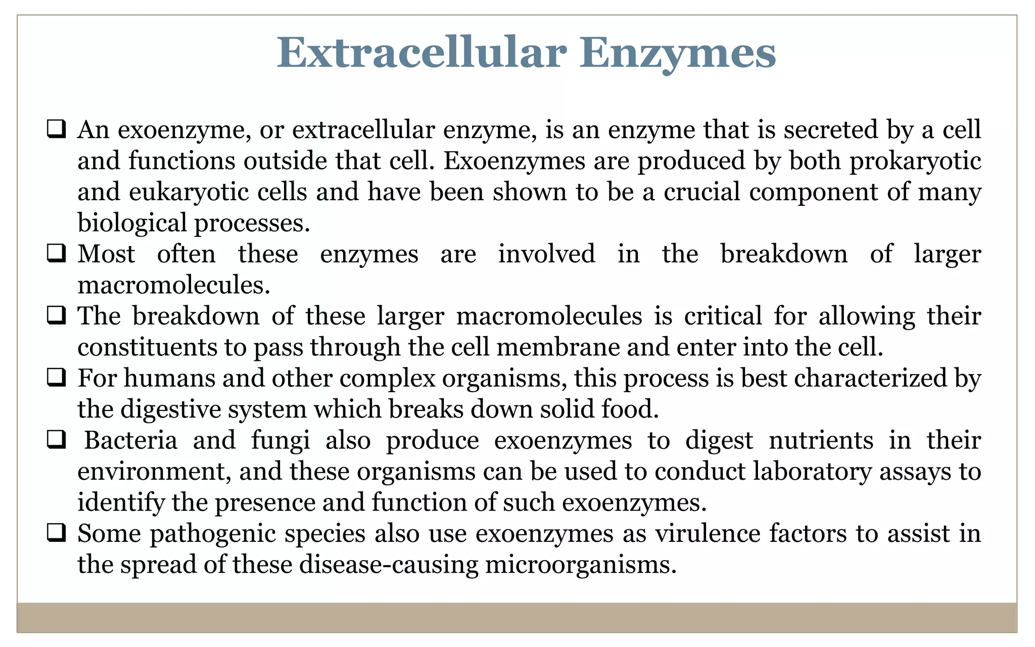Enzymes (General Introduction & Action Mechanism) | PDF