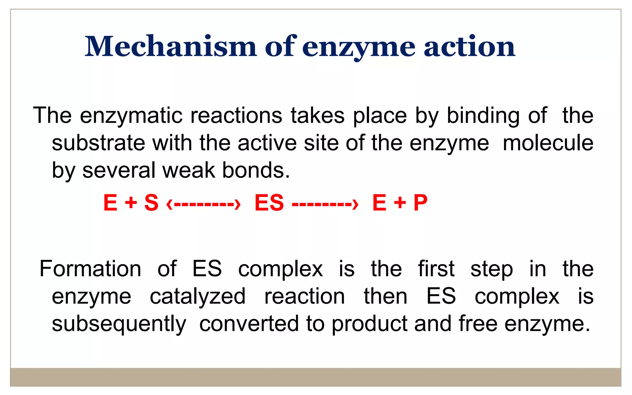 Enzymes (General Introduction & Action Mechanism) | PDF