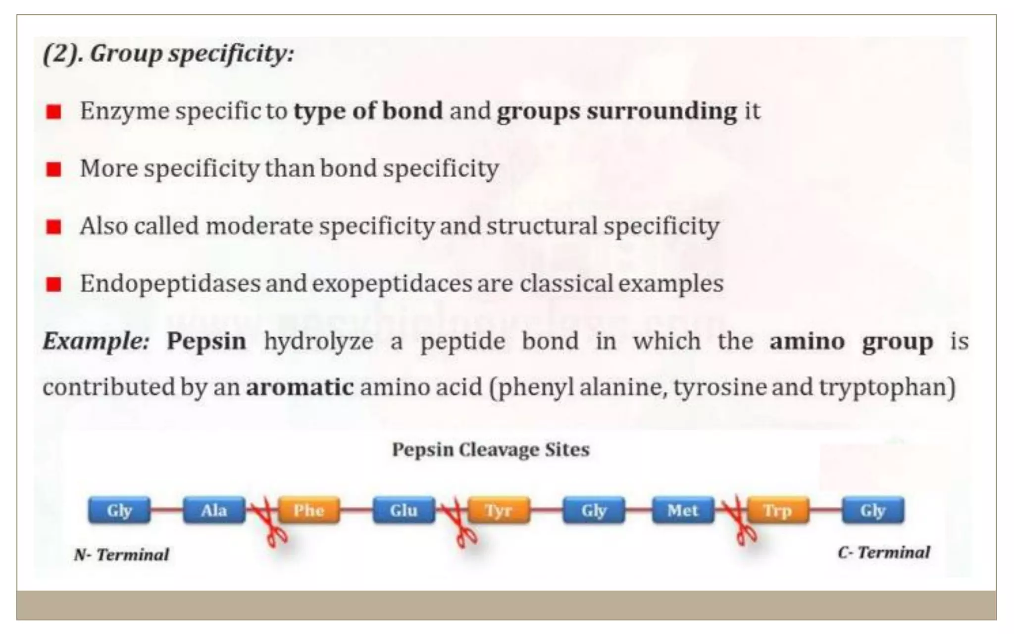 Enzymes (General Introduction & Action Mechanism) | PDF