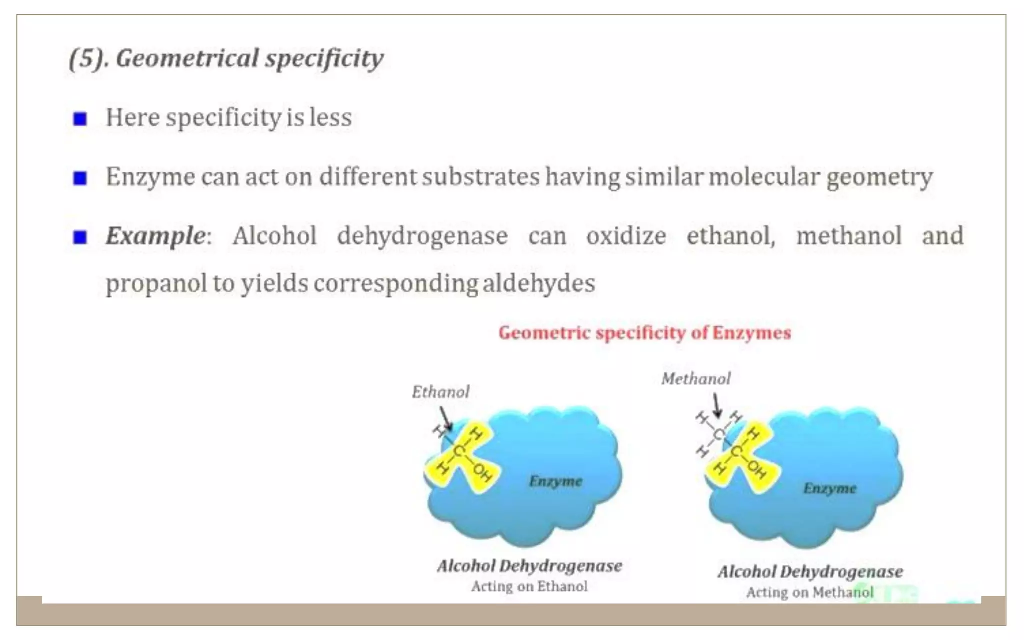 Enzymes (General Introduction & Action Mechanism) | PDF