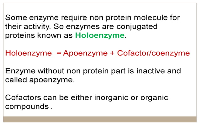 Enzymes (General Introduction & Action Mechanism) | PDF