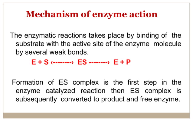 Enzymes (General Introduction & Action Mechanism) | PDF