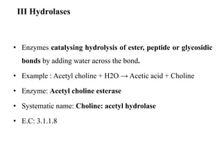 ENZYME.pptx