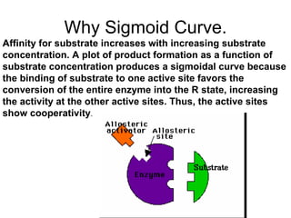 Enzyme-221-Allosteric-Enzyme for health sciences | PDF