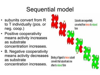 Enzyme-221-Allosteric-Enzyme for health sciences | PDF