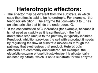 Enzyme-221-Allosteric-Enzyme for health sciences | PDF
