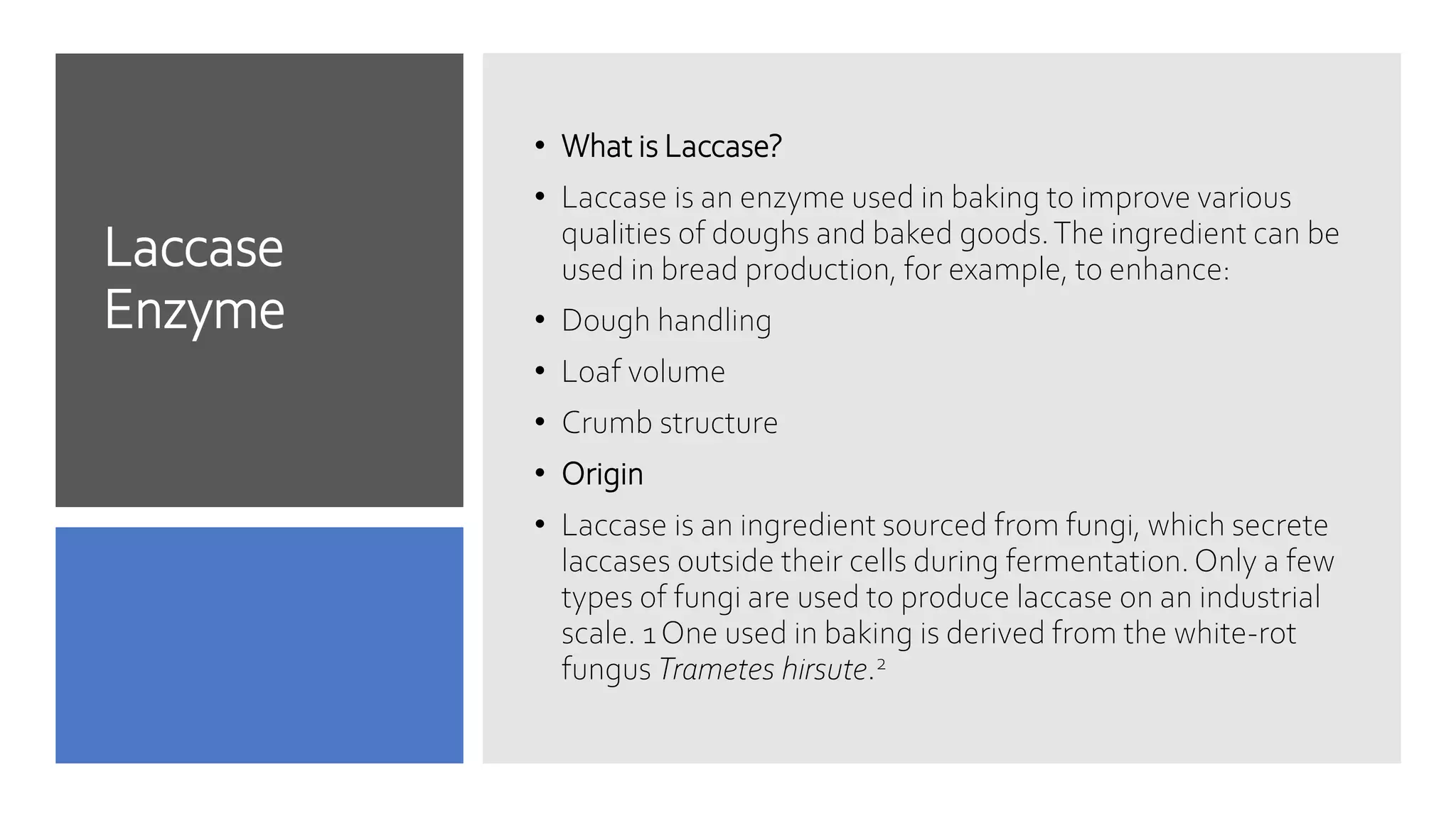Enzyme Function and Properties.pptx
