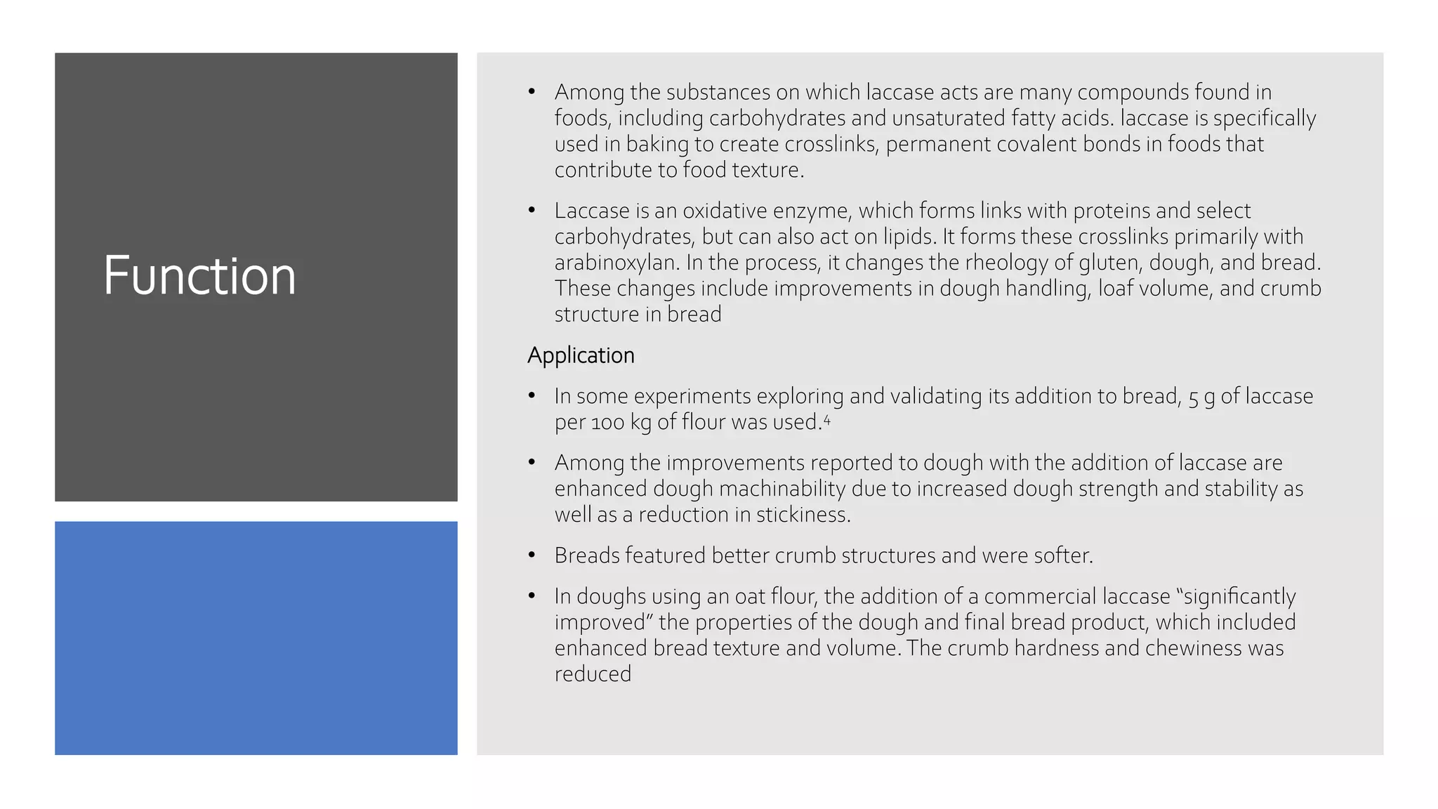 Enzyme Function and Properties.pptx