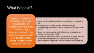 Enzyme Function and Properties.pptx