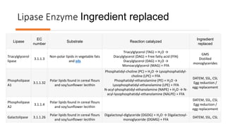 Enzyme Function and Properties.pptx