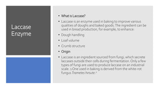 Enzyme Function and Properties.pptx