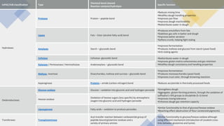 Enzyme Function and Properties.pptx
