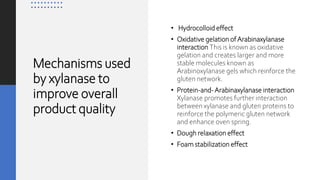 Enzyme Function and Properties.pptx